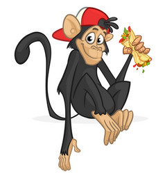 Cartoon funny monkey chimpanzee holding falafel Vector Image