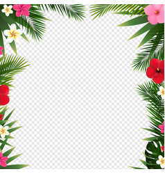 Tropical border Royalty Free Vector Image - VectorStock