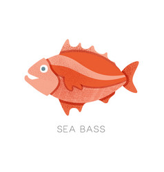Bright red sea bass side view small marine fish Vector Image