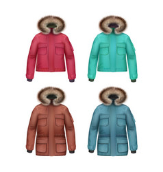 Womens brown winter coat with fur collar Vector Image