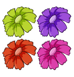 Isolated set flowers Royalty Free Vector Image