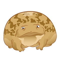 Toad Royalty Free Vector Image - VectorStock