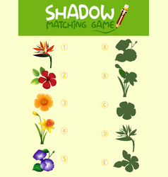 Flower shadow matching game template Royalty Free Vector
