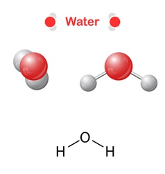 Hexagonal molecule icon flat style Royalty Free Vector Image