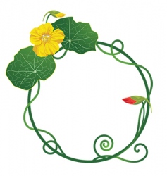 Lily frame Royalty Free Vector Image - VectorStock