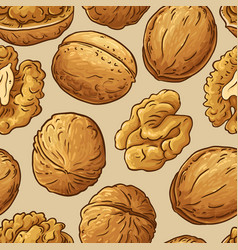 Walnut seeds set on white background Royalty Free Vector