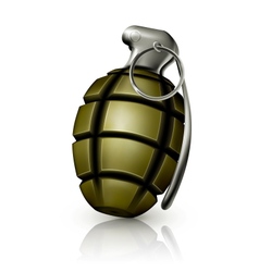 Hand grenade Royalty Free Vector Image - VectorStock
