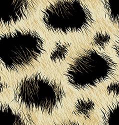 Leopard spots fur in a seamless pattern Royalty Free Vector
