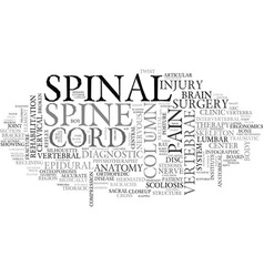 Spinal word cloud concept Royalty Free Vector Image
