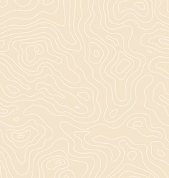 Seamless topographic map texture cartography Vector Image