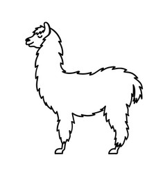 Isolated outline cartoon baby llama Royalty Free Vector