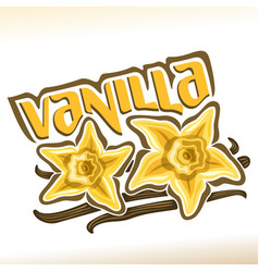 Vanilla Royalty Free Vector Image - VectorStock