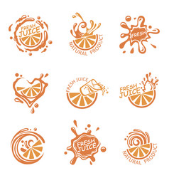 Set of fruit juice splash in a glasses orange Vector Image