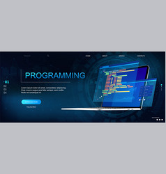 Computer programming coding testing debugging Vector Image