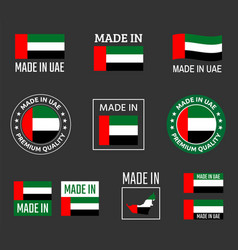 United arab emirates flag icons set national flag Vector Image