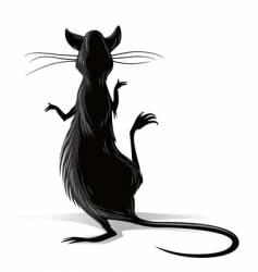 Rat skeleton Royalty Free Vector Image - VectorStock
