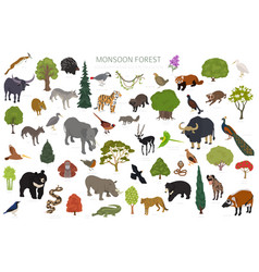 Monsoon forest biome natural region infographic Vector Image