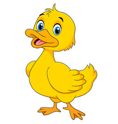 Cute duck cartoon Royalty Free Vector Image - VectorStock