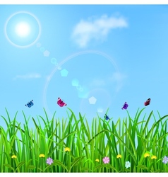 Green grass background Royalty Free Vector Image