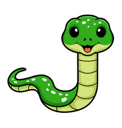 Cute green tree python cartoon Royalty Free Vector Image