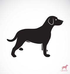 Labrador Royalty Free Vector Image - VectorStock