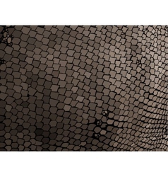 Seamless structured snake skin Royalty Free Vector Image