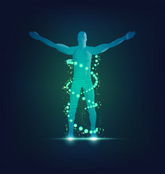 3d wireframe human body Royalty Free Vector Image
