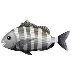 Cute fish Royalty Free Vector Image - VectorStock