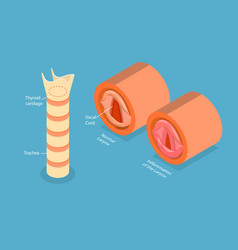 3d isometric flat conceptual Royalty Free Vector Image