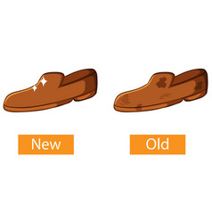 Opposite adjectives words with short ruler and Vector Image