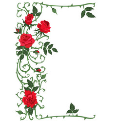 Red and white rose frame Royalty Free Vector Image
