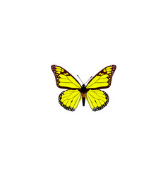 Realistic yello-wing element Royalty Free Vector Image