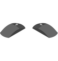Computer mouse in isometric view from two sides Vector Image