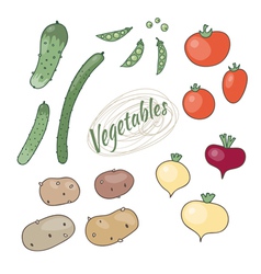 Vegetables Royalty Free Vector Image - VectorStock