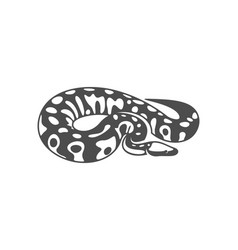 Cartoon python Royalty Free Vector Image - VectorStock