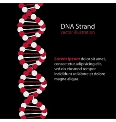Colorful dna spirals bright Royalty Free Vector Image