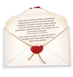 Open international mail envelope with letter Vector Image