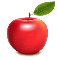 Red apple icon Royalty Free Vector Image - VectorStock